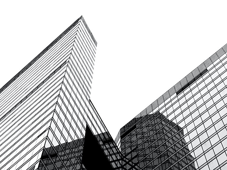 DLP Elite, Elite Execution System, 10x Business Growth… | DLP Capital