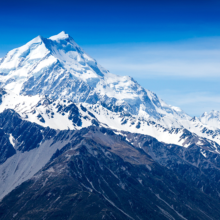 DLP Elite | DLP Capital