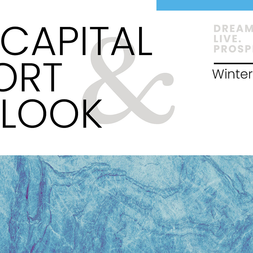DLP Capital Bookmarks | DLP Capital